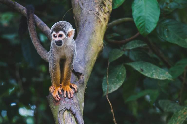 5 Incredible Zoos And Animal Experiences In And Around Miami