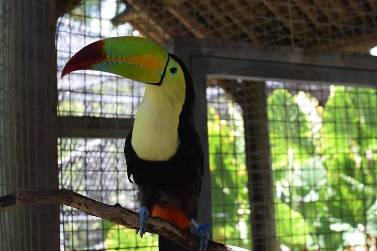 Meet Rare Animal Species At Miami's 5-Acre Wildlife Sanctuary