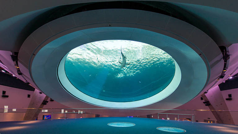 10 Of The Best Museums In Miami That Are Anything But Boring: A ...