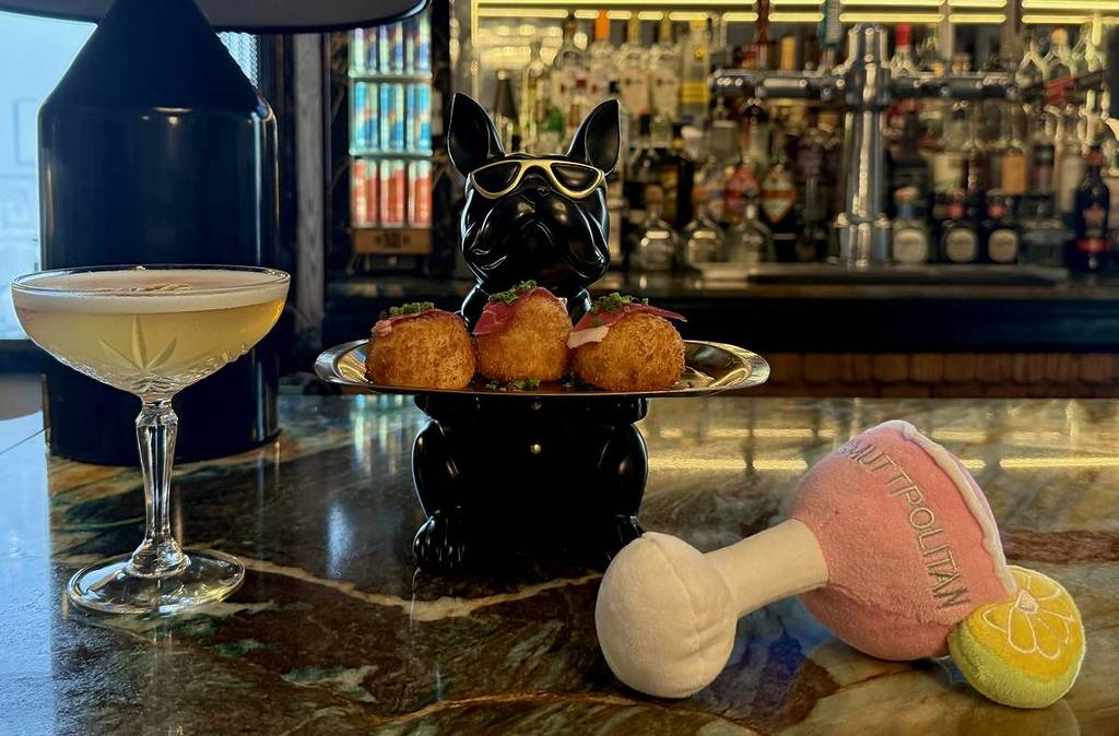 Esta nueva Happy Hour de Miami Beach te permite beber con tu perro por ...