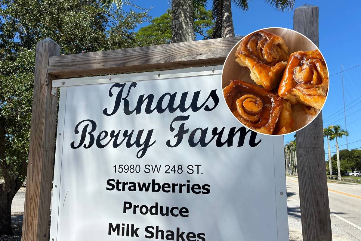 L'icône du sud de la Floride, Knaus Berry Farm, déménage dans un nouvel ...