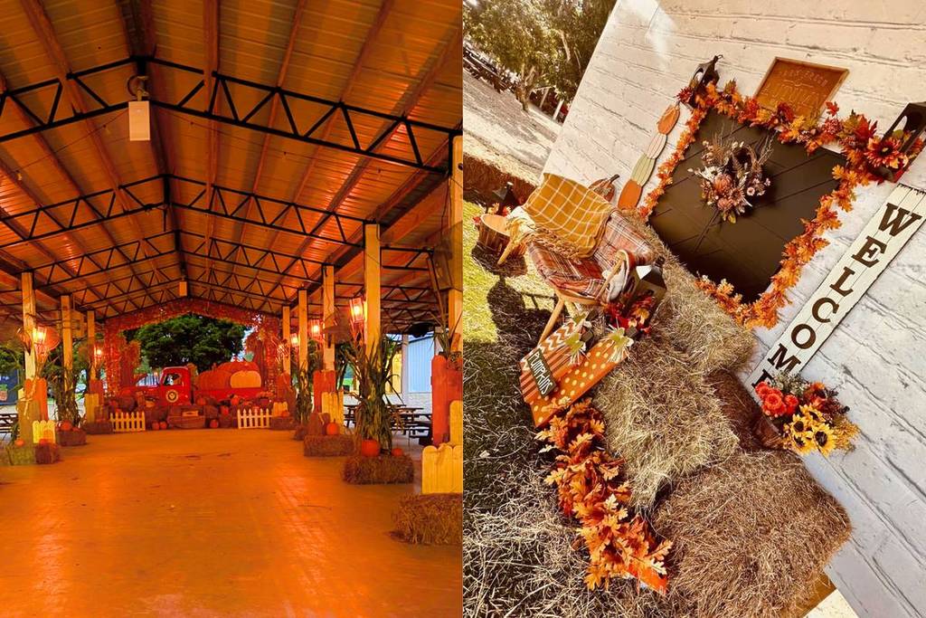 This Miami Farm Turns Into A Fall Wonderland In September With A 5-Acre ...