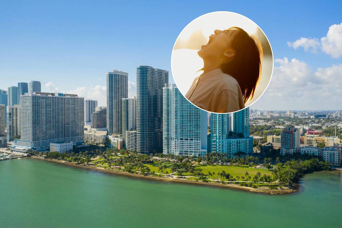 ¿Estresado? El Scream Team de Miami puede ser lo que necesitas