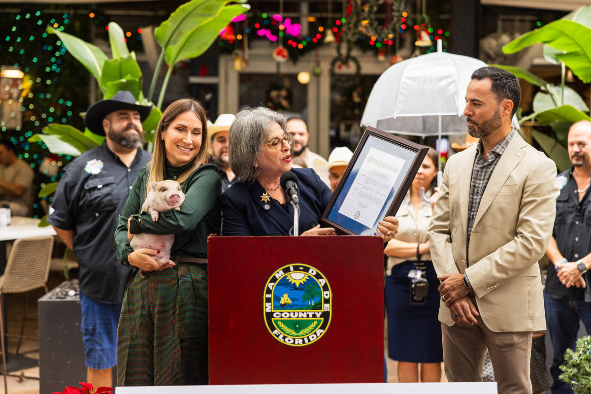 A Pig Named ‘6-7’ Was Just Saved From The Caja China In Miami