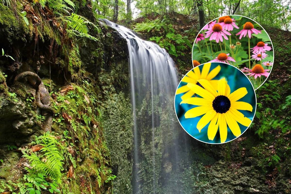 Florida Park Named Among Best To See Spring Flowers In The U.S.