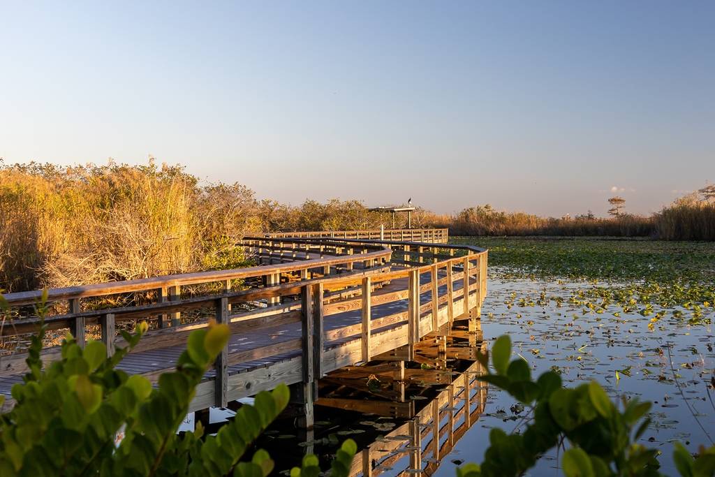 This 0.8-mile Everglades trail is being called the 2nd best spring hike ...
