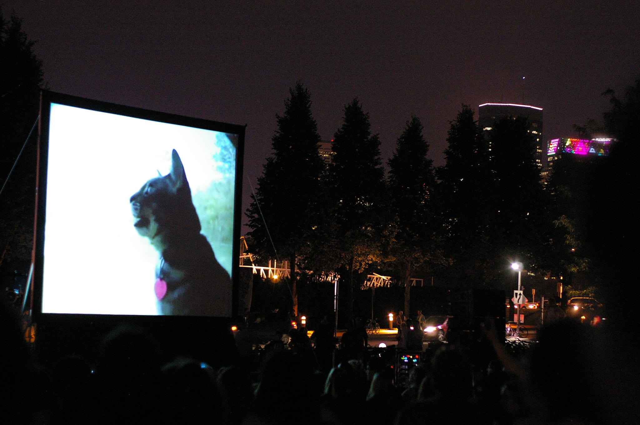 The Cat Video Festival Returns To Saint Paul Tonight
