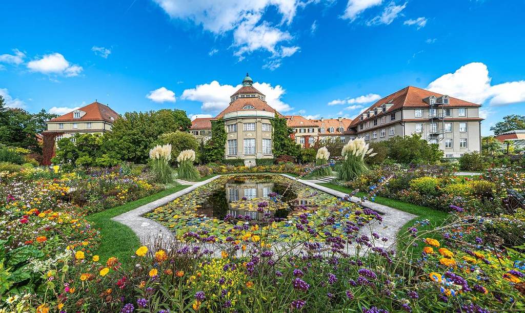 Over 400 species of colorful butterflies: Munich's botanical garden ...