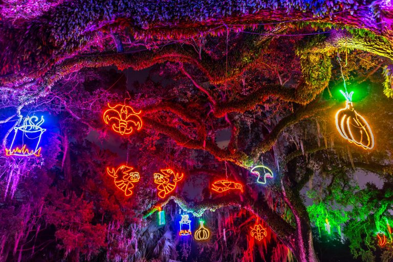 Celebration In The Oaks' Spectacular Light Display Closes Next Sunday