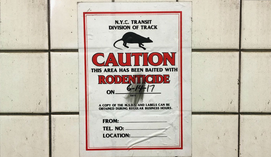 Everything You Need To Know About NYC's $32 Million War on Rats