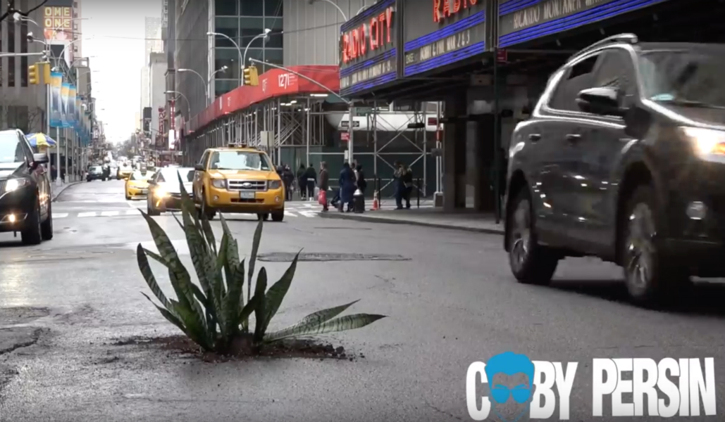 Watch This New Yorker Plant Trees in Potholes Throughout NYC Streets