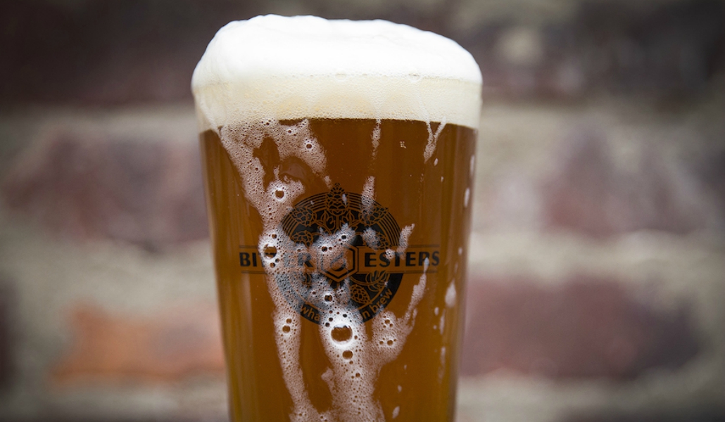 Hipster 101: Brewing Beer in the Heart of Brooklyn