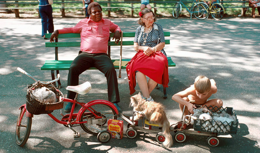 This is What Summer in NYC Looked Like in 1978!