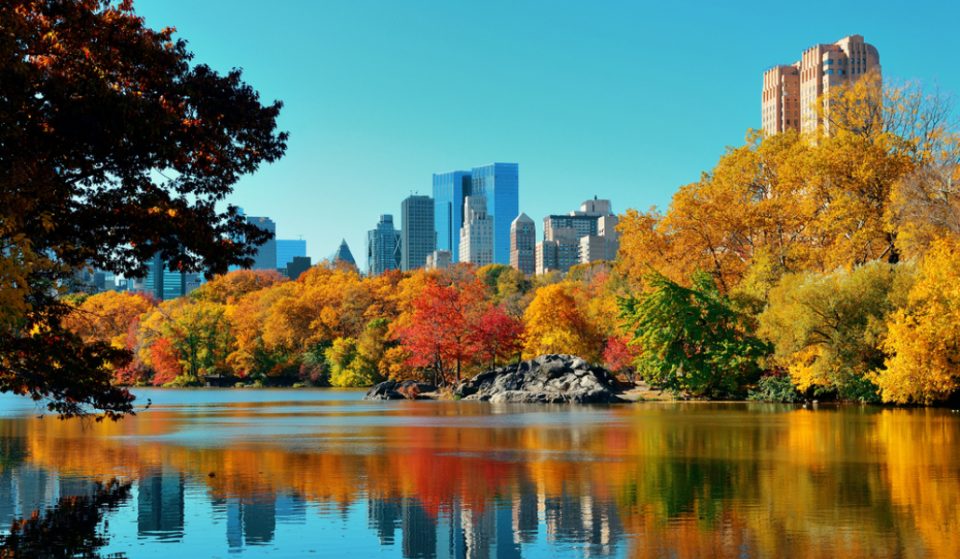 22 Best Things To Look Forward To About Fall In New York City