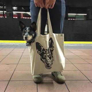 Dogs Are Required To Be In A Bag On The Subway, These Clever Commuters ...
