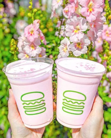 Limited Edition Cherry Blossom Shake is Finally at Shake Shack NYC