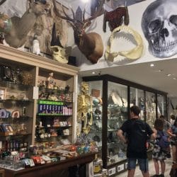 10 Most Uncommon Spots For Gifts In NYC That You Haven't Thought Of Yet