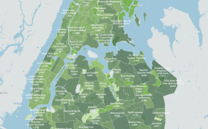 This Map Shows Exactly Where Every Single Tree On NYC Streets Is Located