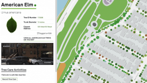 This Map Shows Exactly Where Every Single Tree On NYC Streets Is Located