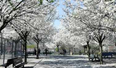 45 Incredible Things To Do In May In NYC, From The Comfort Of Home ...