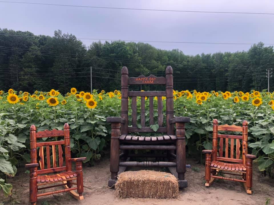You Can Pick Your Own Summer Sunflowers At This Farm In New Jersey ...