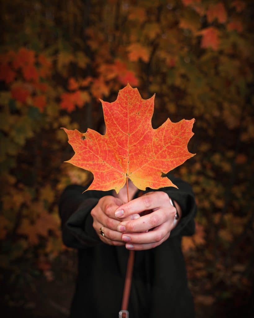 22 Best Things To Look Forward To About Fall In New York City