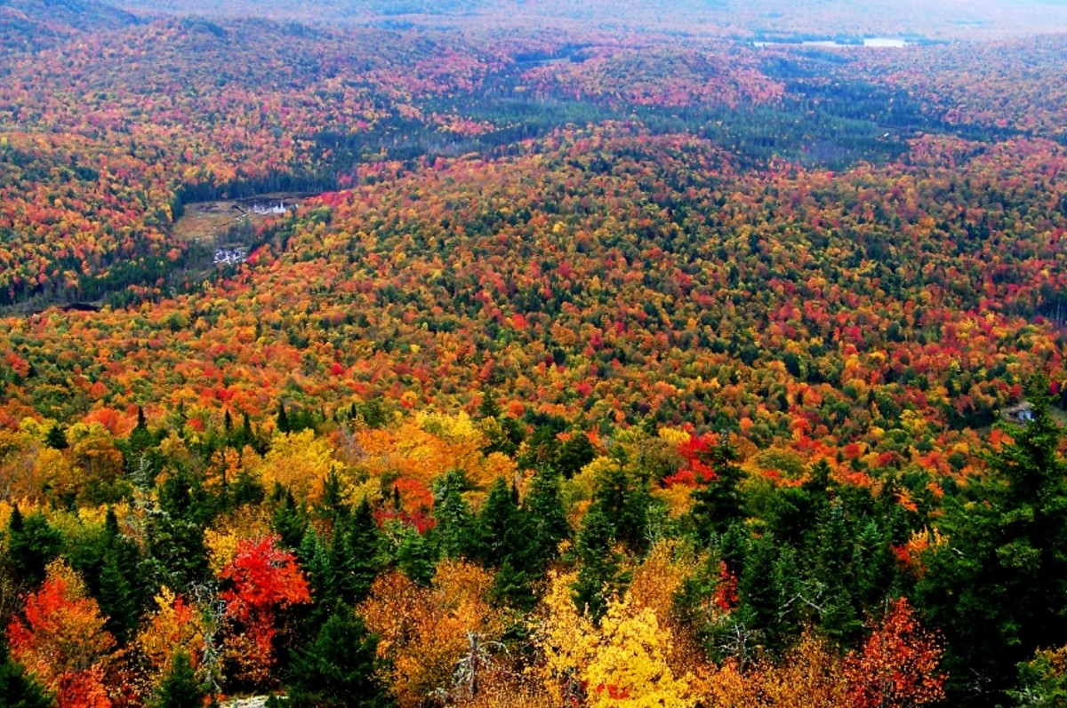 5 Best Places To Catch The Changing Fall Foliage In New York State 5 Best Places To Catch The Changing Fall Foliage In New York State