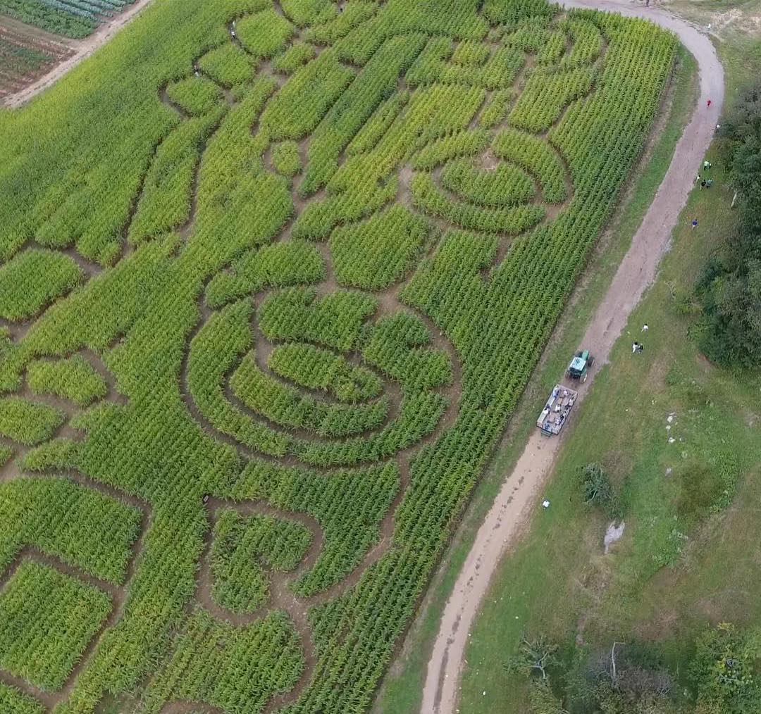 10 Best Corn Mazes To Visit This Fall Near New York City
