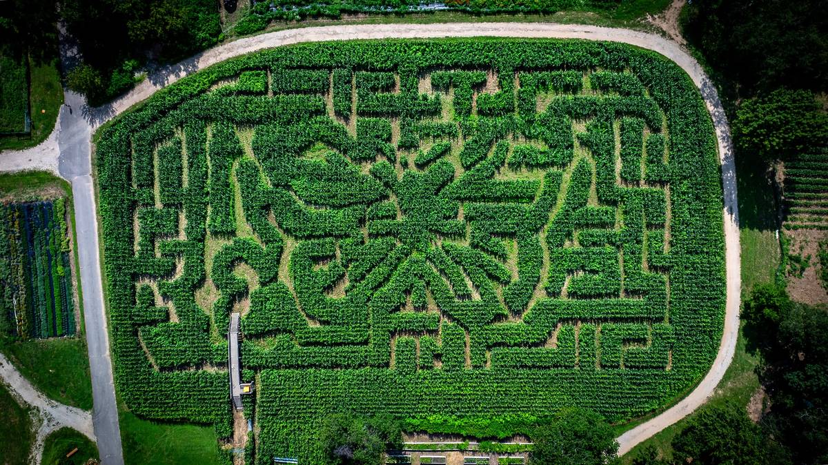 10 Best Corn Mazes To Visit This Fall Near New York City