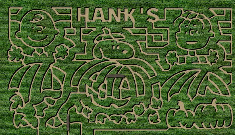 10 Best Corn Mazes To Visit This Fall Near New York City