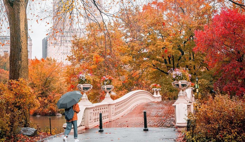 These Stunning Snapshots Perfectly Capture New York City s Changing These Stunning Snapshots Perfectly Capture New York City s Changing