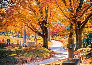 20 Best Spots To Catch NYC's Peak Fall Foliage (2023)