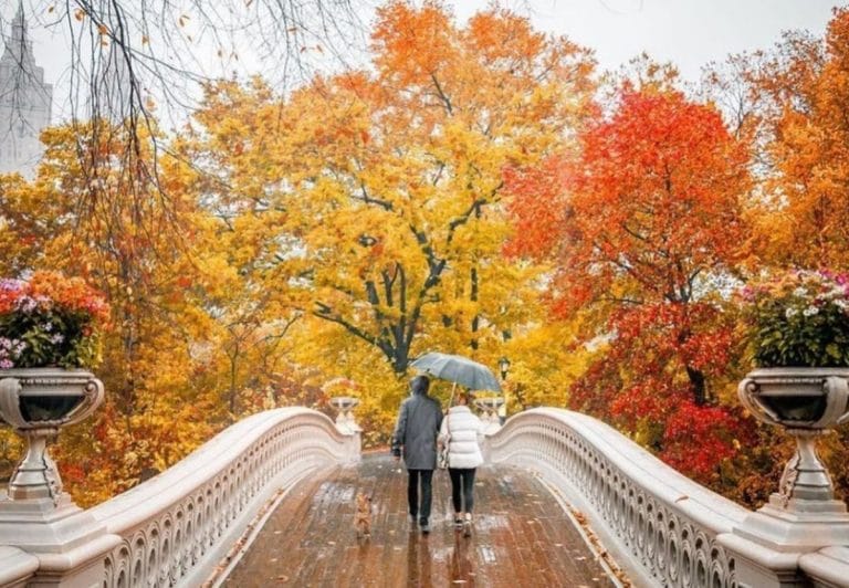 42 Noteworthy Things To Do In NYC This November (2025)