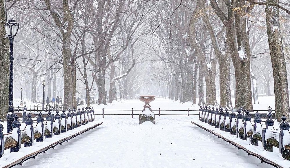 15 Beautiful Photos Of NYC Looking Like A Winter Dreamland Today ...