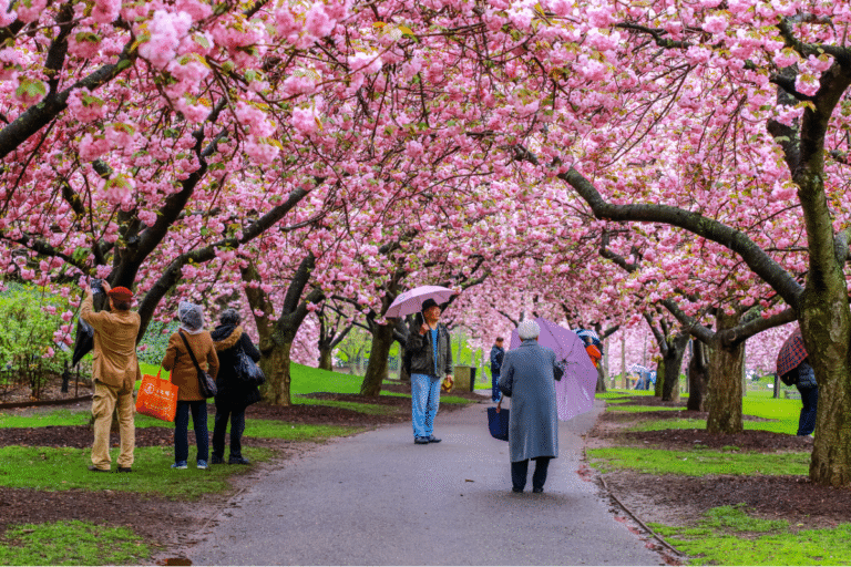 Marvelous Things To Do In NYC This May (2025) Secret NYC