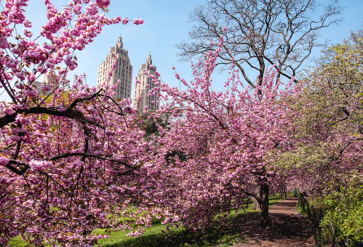 25 Best Things To Do In NYC This Spring (2025)