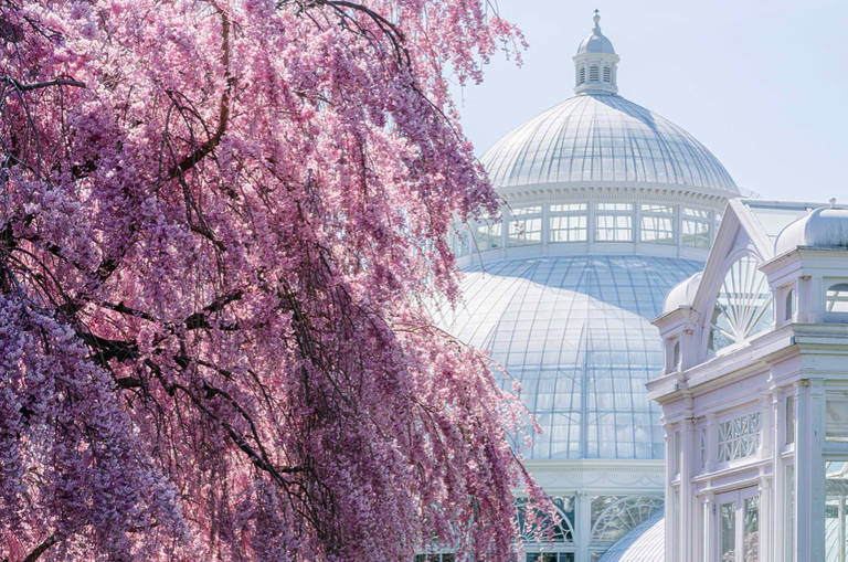 10 Best Things To Do In The Bronx, New York