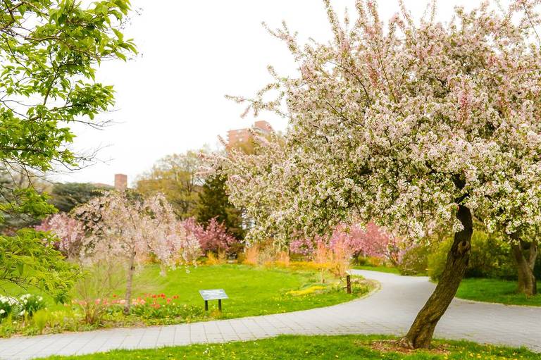 The Best Things To Do In Queens, NYC (2024)