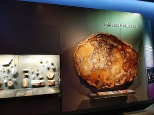 Museum Of Natural History's Dazzling New Hall Of Gems & Minerals Is Now ...