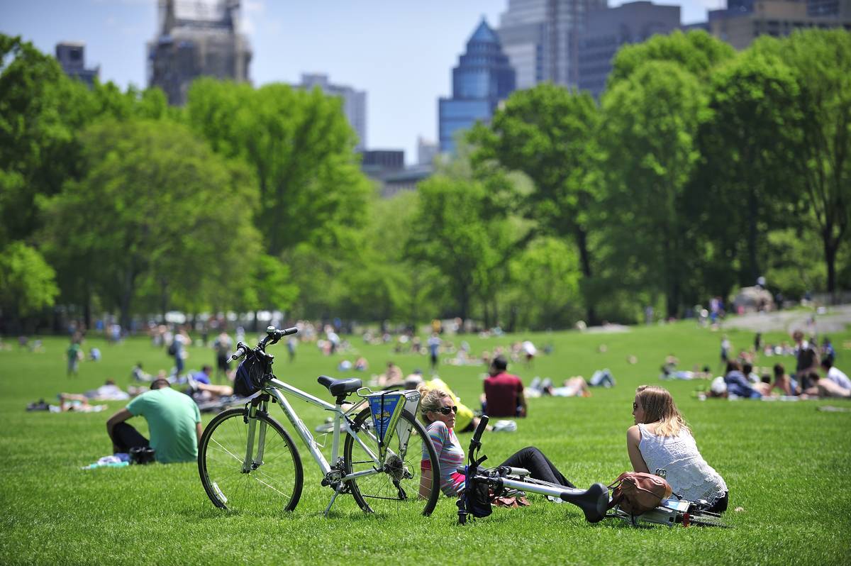 The Best Bike Routes In New York City (2025)