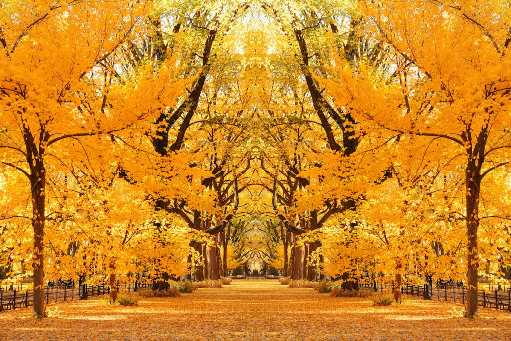 45 Spectacular Things To Do In NYC This September