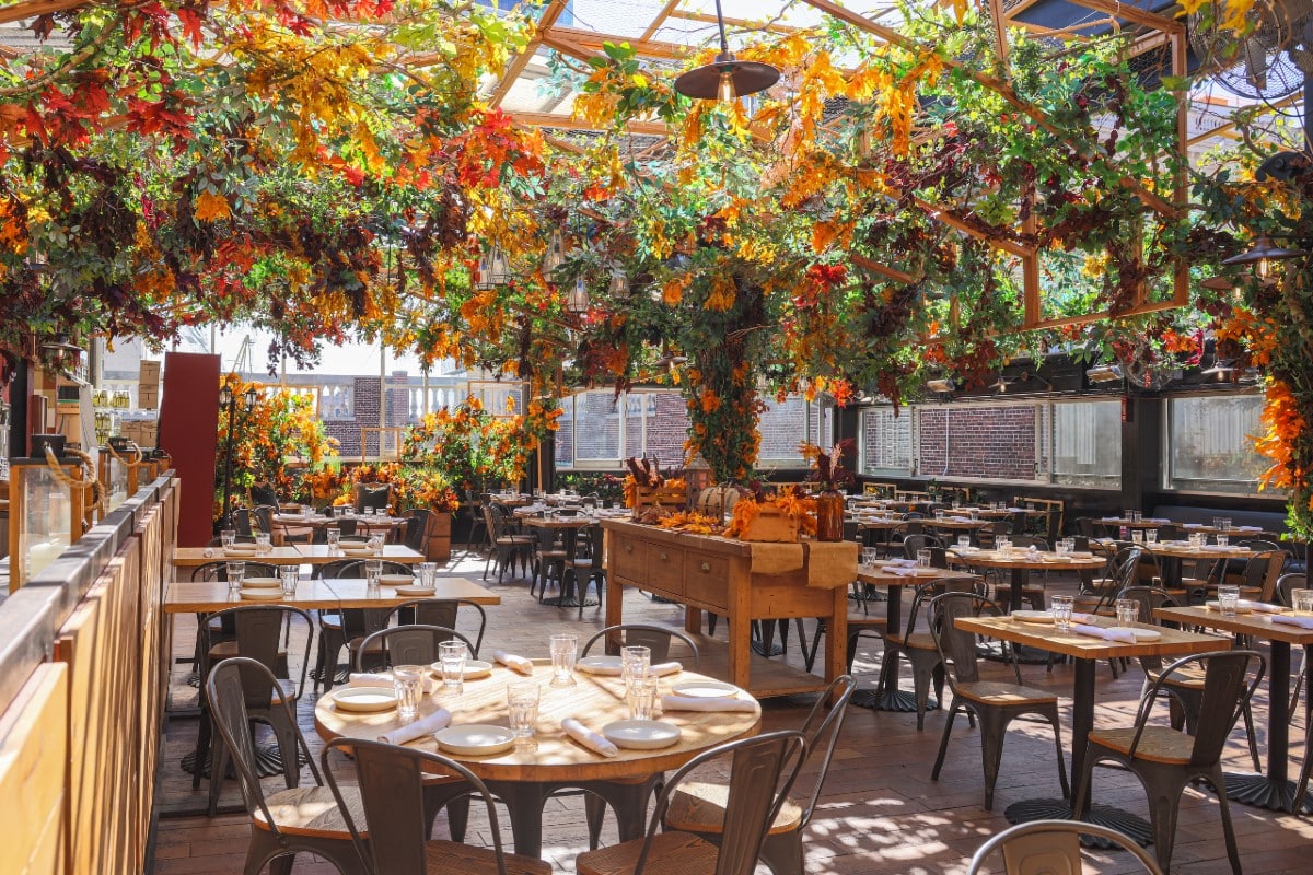 Eataly's Rooftop Has Transformed Into A Fantastical Forest Of Fall Foliage
