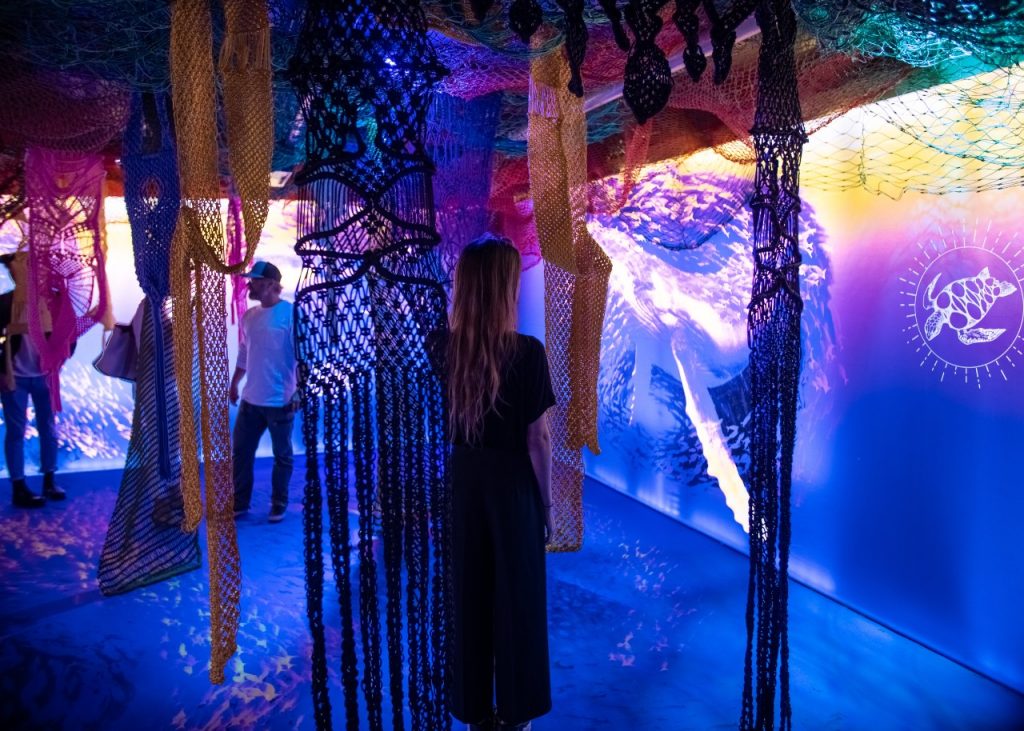 Explore Our Planet Through Wondrous Fantasy Lands With Special Student ...