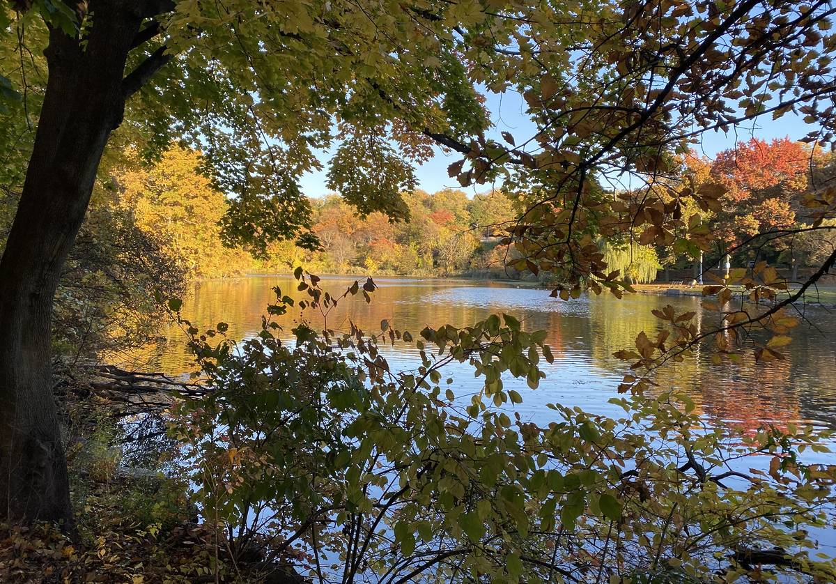 20 Best Spots To Catch Fall Foliage In NYC (2025)