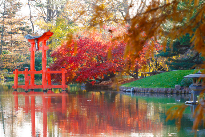 20 Best Spots To Catch NYC's Peak Fall Foliage (2023)