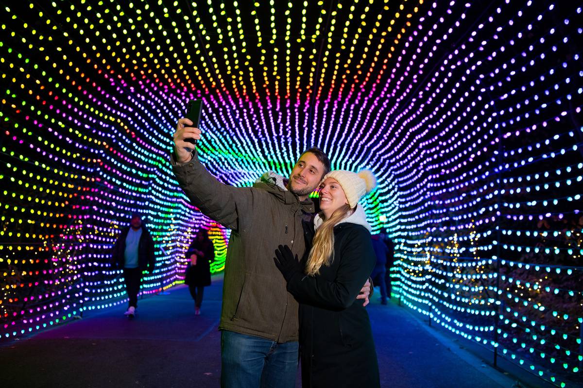 20 Best Places To See Holiday Lights In NYC (2025)