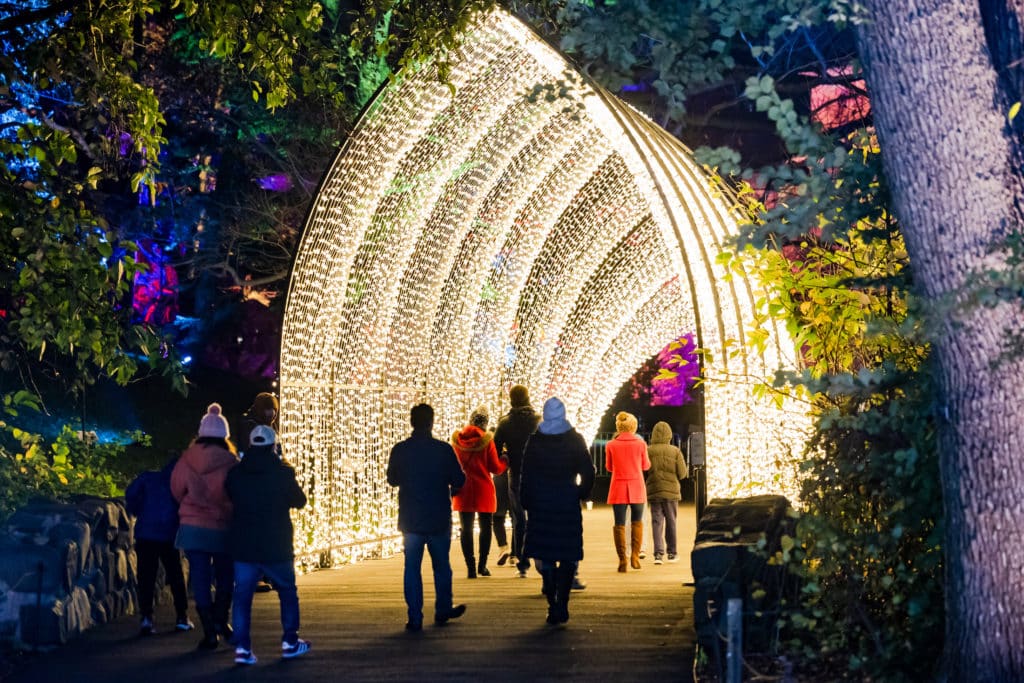 Lightscape Returns To BBG With More Than One Million Lights