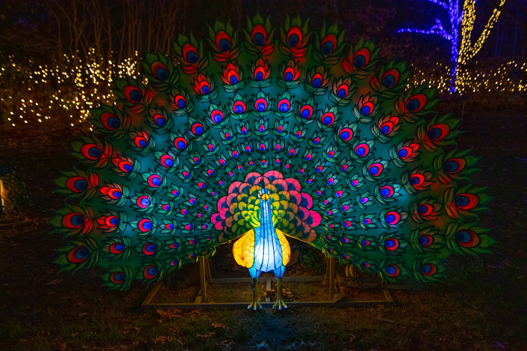 25 Best Places To See Christmas Lights and Decorations In NYC