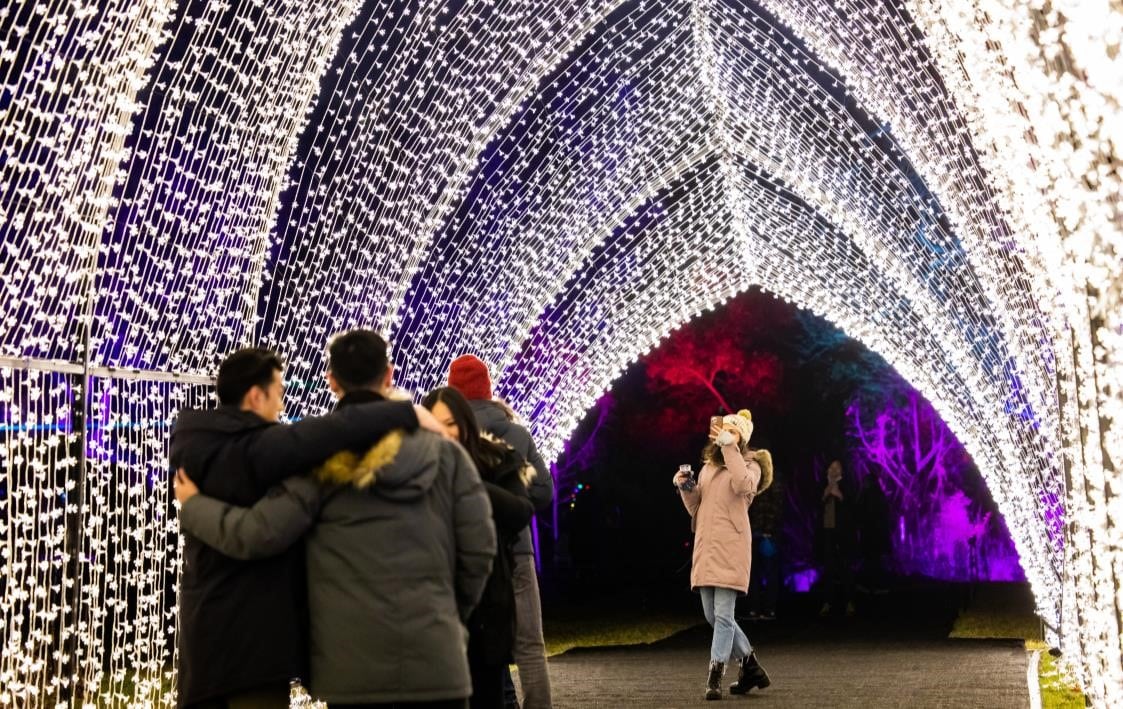 Over 1 Million Dazzling Lights Are Illuminating Brooklyn Botanic Garden ...