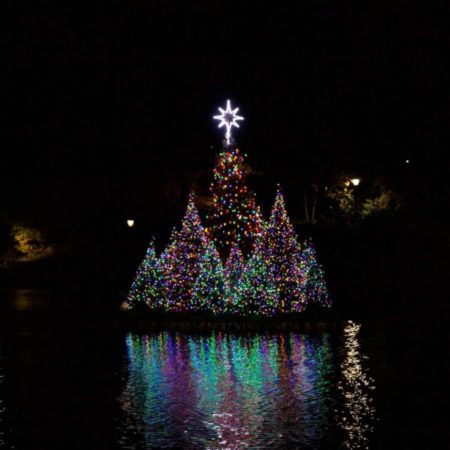 The Definitive Guide To The Best Tree Lighting Ceremonies In NYC ...